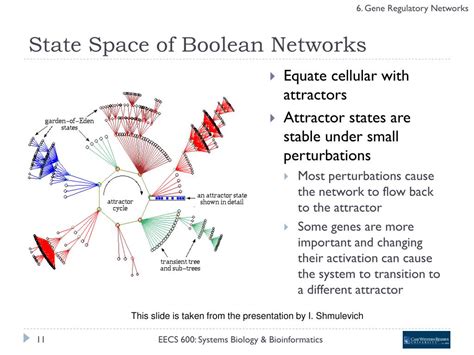 Ppt 6 Gene Regulatory Networks Powerpoint Presentation Free Download Id 3281576