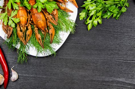 어두운 나무 배경에 딜과 파슬리가있는 흰색 접시에 빨간 삶은 가재 텍스트에 대한 여유 공간이있는 음식 배경을 요리합니다 복사 공간이 있는 상단 보기 건강한 생활방식에 대한