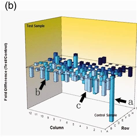 Results Of Pcr Array Analysis Of Gene Expression In The Participants Download Scientific