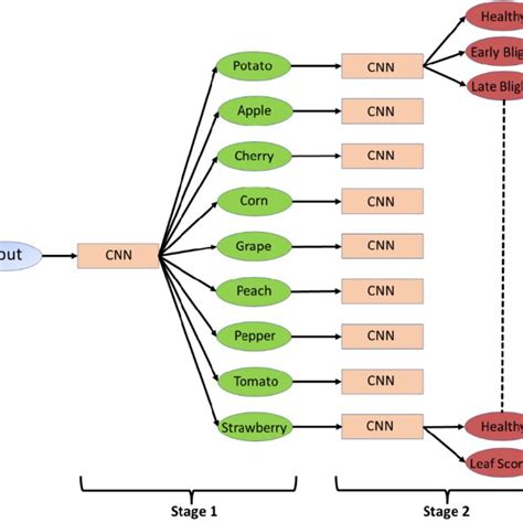 The Proposed Two Stage Classification Hierarchical Approach Download