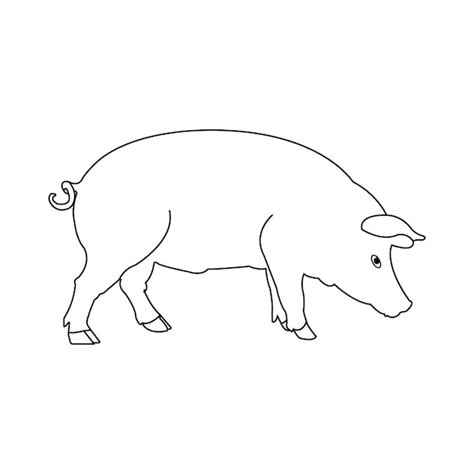 Premium Vector Pig Icon Vector