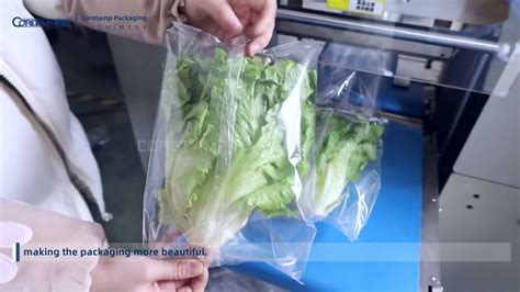 Vegetable And Fruit Nitrogen Packaging Machine Slitting Coil Packaging Line