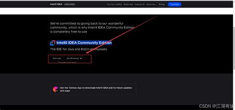 探索未来编程：飞算javaai开发助手新手入门全攻略javaai官网 Csdn博客