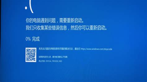 终止代码CRITICAL PROCESS DIED 社区
