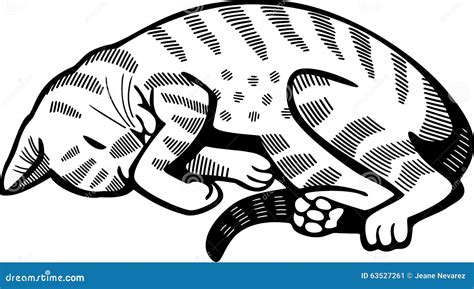Cat Nap Ilustración Del Vector Ilustración De Rayado 63527261