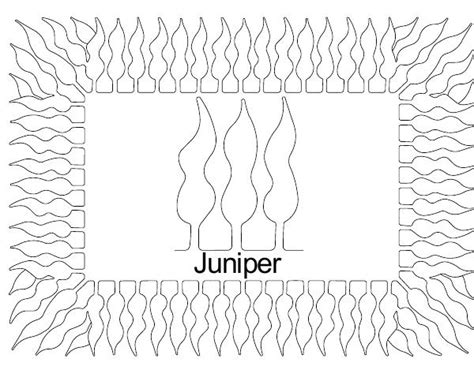 Juniper Anne Bright Designs