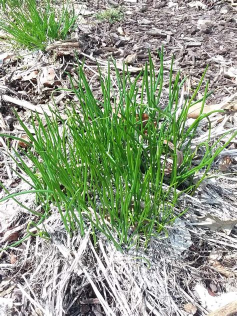 Its Been About A Year Since I First Launched My Website