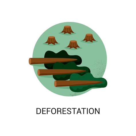 Forest Decomposers Vectors And Illustrations For Free Download Freepik