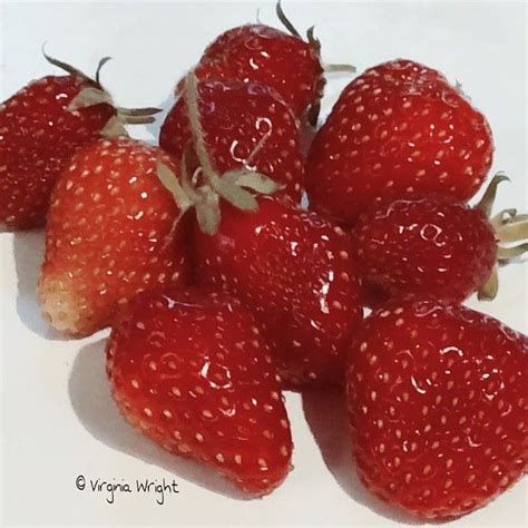 Virginia Wright Wrightvirginia • Instagram Photos And Videos Nature Photography Instagram