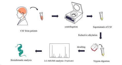 This Figure Shows The Process Of Sample Preparation Data Download Scientific Diagram