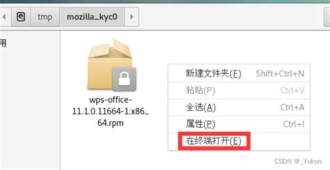 Linuxcentos安装软件常见问题？纯小白经验libvulkanso1 Csdn博客