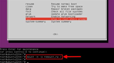 Boot Into Rescue Mode Or Emergency Mode In Ubuntu Ostechnix