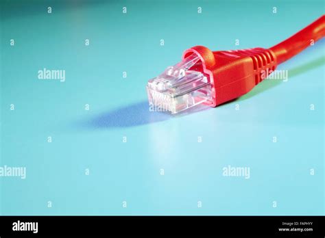 Close Up Of The Network Cable Stock Photo Alamy