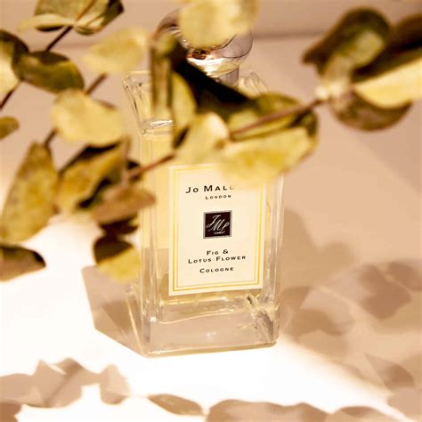 Fig And Lotus Flower Jo Malone The Sensory Club