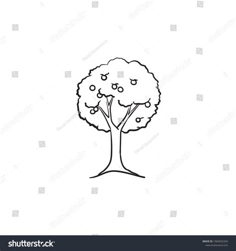 Fruit Tree Hand Drawn Outline Doodle Stock Vector Royalty Free Shutterstock