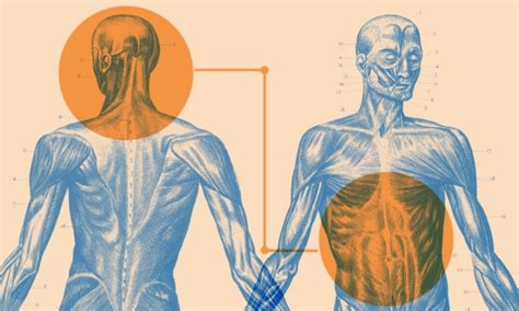 Psychobiotics Can We Control The Way We Think By Altering Gut