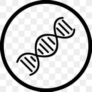 Dna Spiral Vector Design Images Differences Between Dna And Rna Vector Scientific Icon Spiral