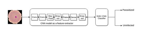 Modified Cnn Knn Or Cnn Svm Architecture Download Scientific Diagram