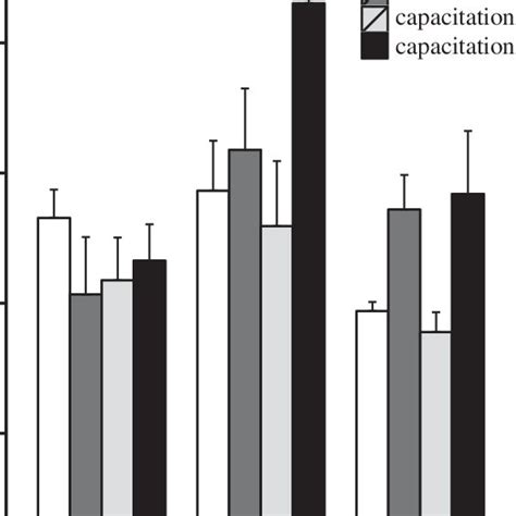 Effect Of Capacitation On Sperm Dna Fragmentation Spermatozoa From M Download Scientific