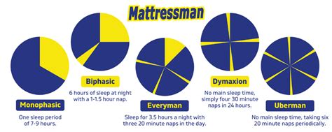 Beyond Monophasic Sleep Can We Deviate From 8 Hours A Night Mattressman