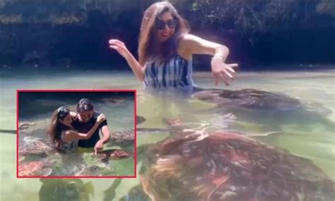 مریم نفیس سمندری کچھوؤں میں گھِر گئیں