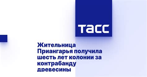 Жительница Приангарья получила шесть лет колонии за контрабанду древесины