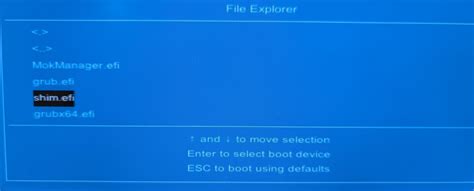 Grub Is Installed But Does Not Show Up Even Though Opensuse Is Set First In Bios Installboot