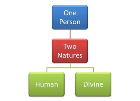 Final Exam Catholic Theology Flashcards Quizlet