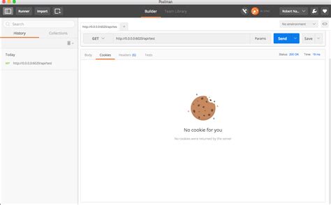 Javascript Cookies Not Sent To Server Stack Overflow