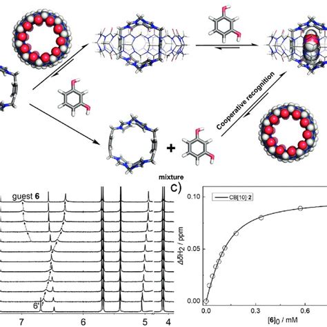 a schematic illustration of the formation of an binary complexes and