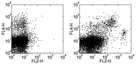 F4/80 Monoclonal Antibody (BM8), Biotin, eBioscience™, Invitrogen ...