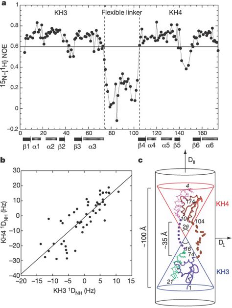 Interdomain Motion In The Fbp34±m29 Ssdna Complex A 15 N 1 H Noe