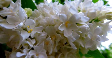 Честит имен ден на моето дете Btv Новините