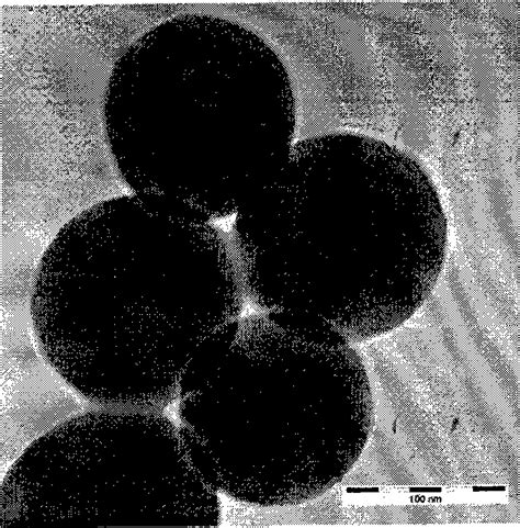 Sio2au Nano Material With Nucleocapsid Structure Biological Protein Sio2au Nano Material With Nucleocapsid Structure Biological Protein