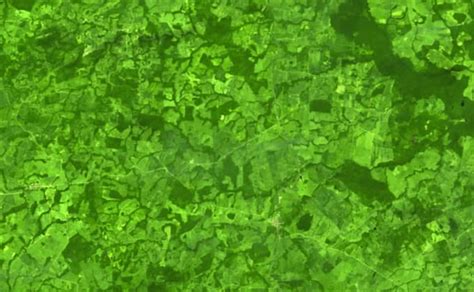 Process And Analyze Satellite Imagery For Your Specific Needs By