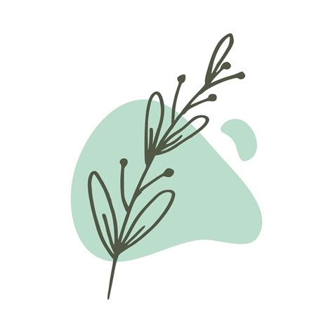 Hand Drawn Leaf With An Aesthetic Shape Or Aesthetic Blob Simple Decoration 22221605 Png