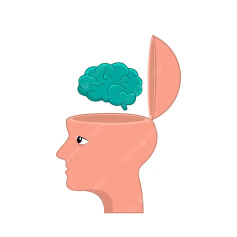 Open Head Brain
