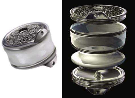 Cervical Disc Replacement Musculoskeletal Key