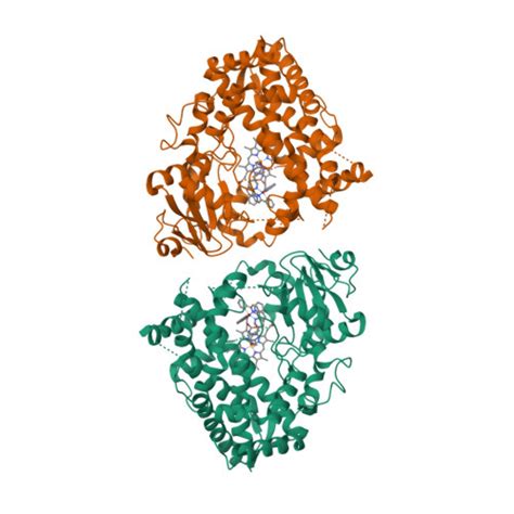 Rcsb Pdb 8ewd Crystal Structure Of Cyp3a4 Bound To An Inhibitor