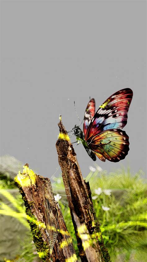 Biodiversity • Visualising Ai Behance