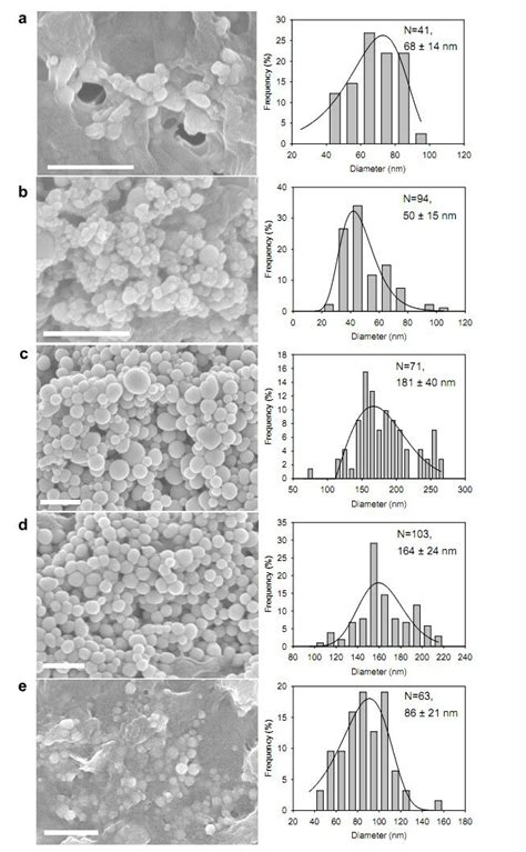 4 Sem Images And Size Distribution Of Selenium Nanoparticles Produced