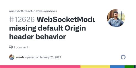 Websocketmodule Missing Default Origin Header Behavior · Issue 12626