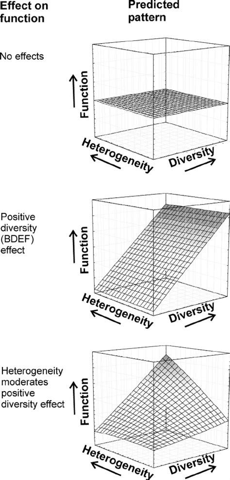 Hypothetical Interactions Between Biodiversity And Resource