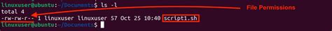 How To Make Files Executable Using Chmod In Ubuntu Linux Genie