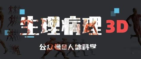 【3d人体】生理病理3d解剖系列合集 知乎