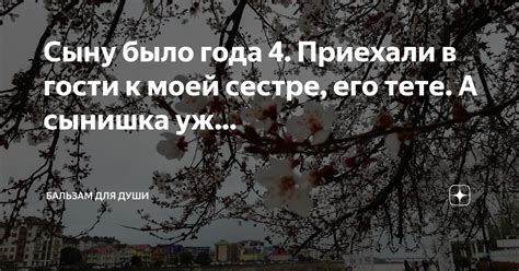 Сыну было года Приехали в гости к моей сестре его тете А сынишка уж Бальзам для души Дзен