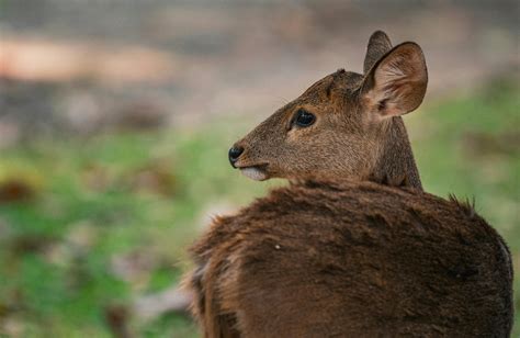 Momatjocastaresortimages Photos Download The Best Free Momat