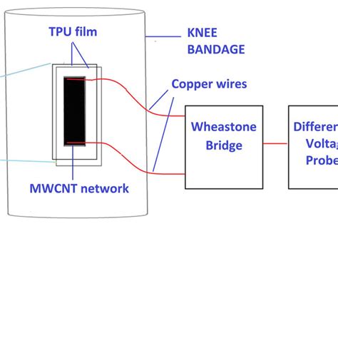 Simultaneous Measurements Of Isokinetic Dynamometer And Cnt Sensor