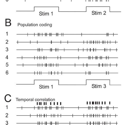 Schematic Representation Of Three Models Of Neural Correlates Of Download Scientific Diagram
