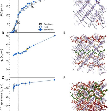 Atomistic Structure Of Calf 20 Made Of 4×3×3 Super Cells The